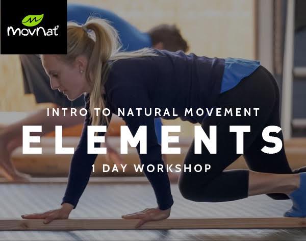 Movnat Elements ★ Intro to Natural Movement, nahe Frankfurt / Darmstadt